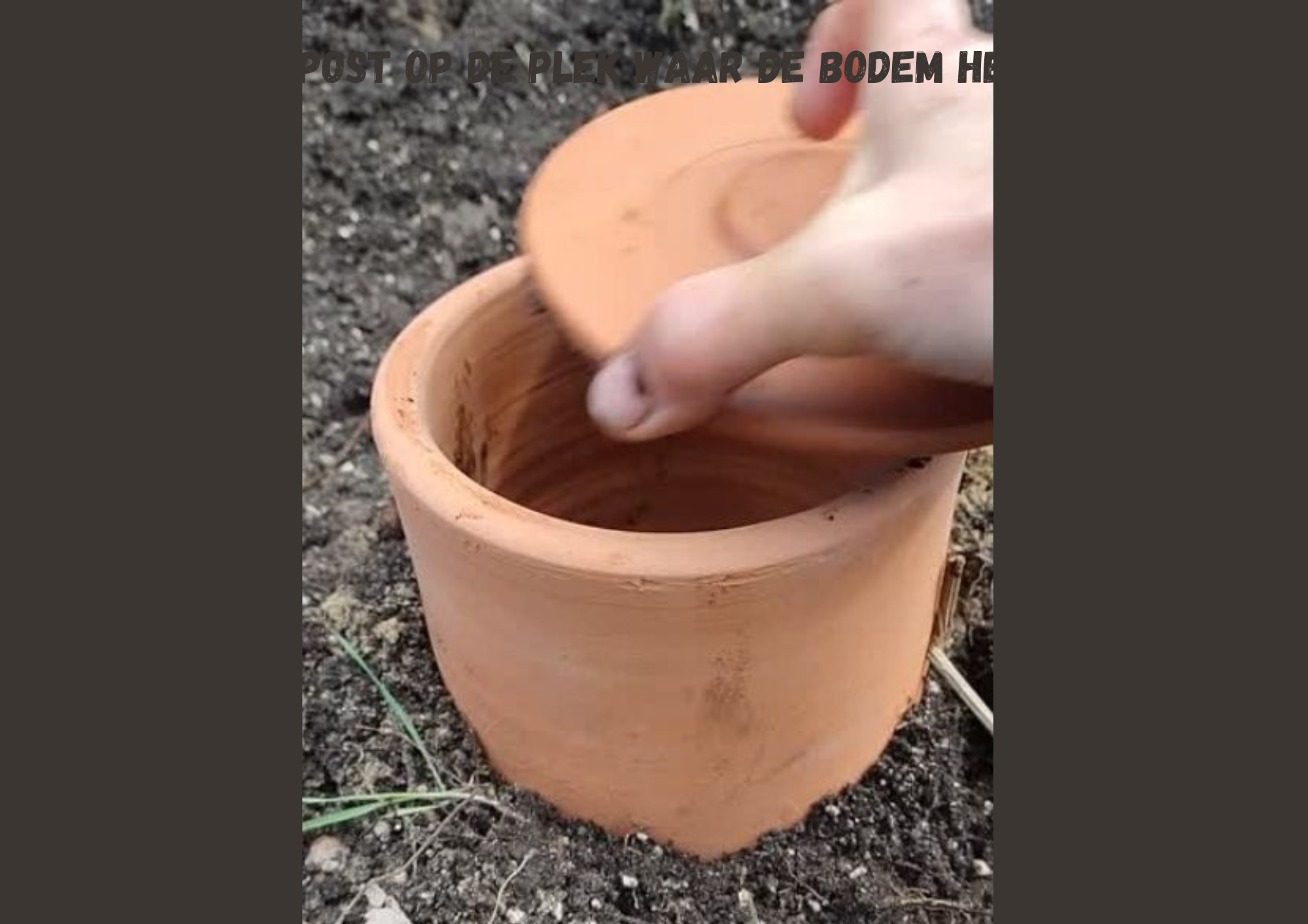 New: Terracotta compost tube – Balkonton
